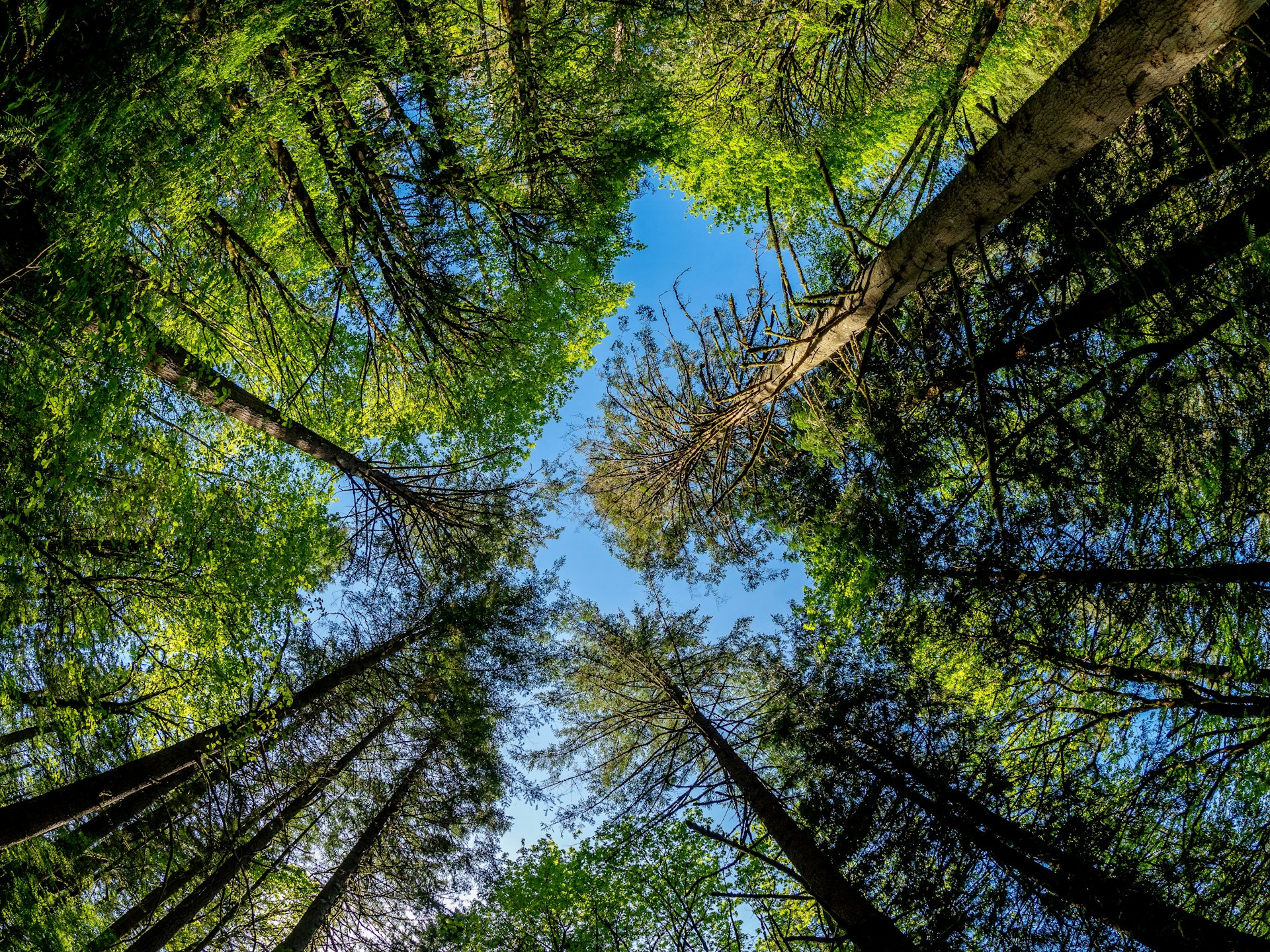 Calendar - Embodywise